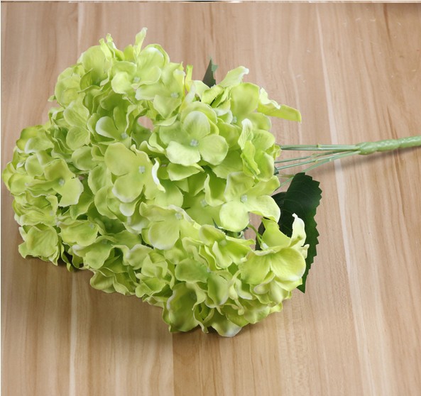 DIY Material Immortal Preserved Fresh Anna hydrangea Flower the ...